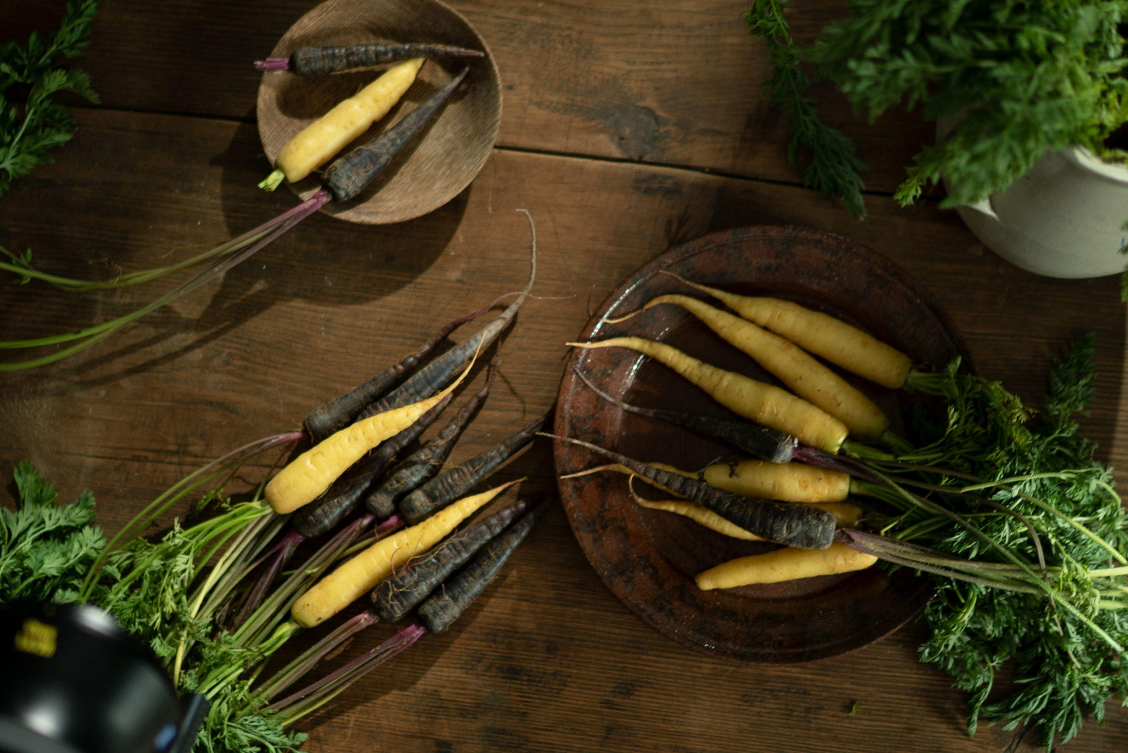 Zareba Garden Fences: Overcoming Challenges - LampHouse